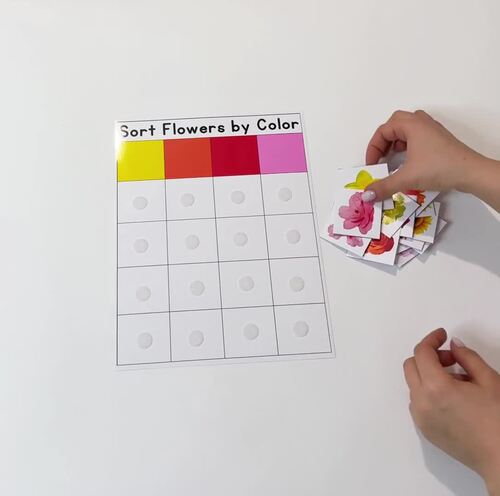 Flower Coloring Pages Vocabulary Cards Activities Worksheets Special Ed ...