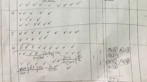 Information from a Running Record Part 2 by Beverly Miner | TpT