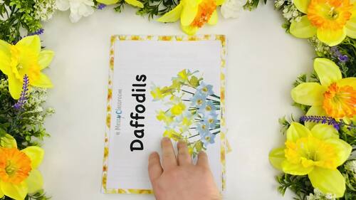 2nd Grade Spring Flowers Daffodils Reading Lesson RI.2.1 Ask & Answer ...