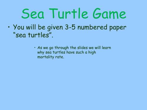 Sea Turtle Survival Game by 21st Century Science | TPT