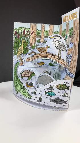 Wetlands Biome Model - 3D Model - Biome Project by Nitty Gritty Science