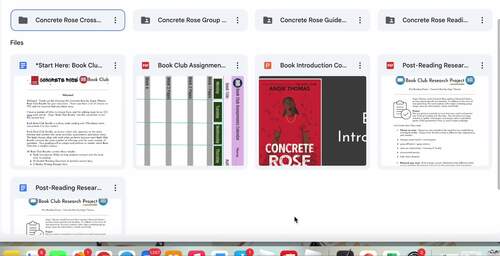 Concrete Rose / Angie Thomas / YA Book Club Bundle / High School Lit ...