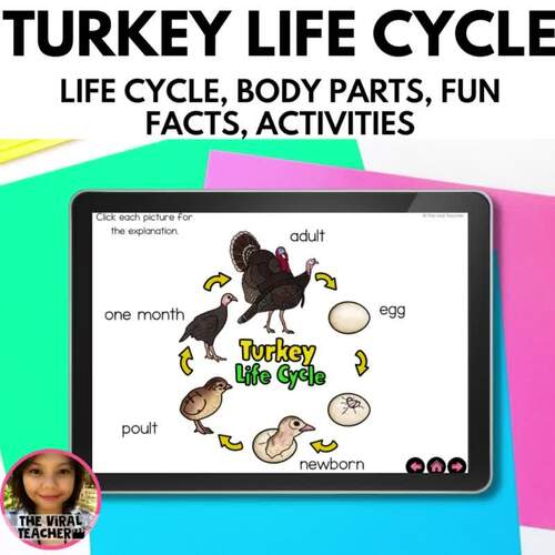 Turkey Life Cycle and Body Parts | Animal Life Cycles Activities