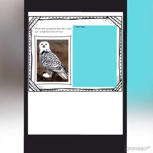 GOOGLE CLASSROOM Digital Winter Nonfiction Passages and Comprehension