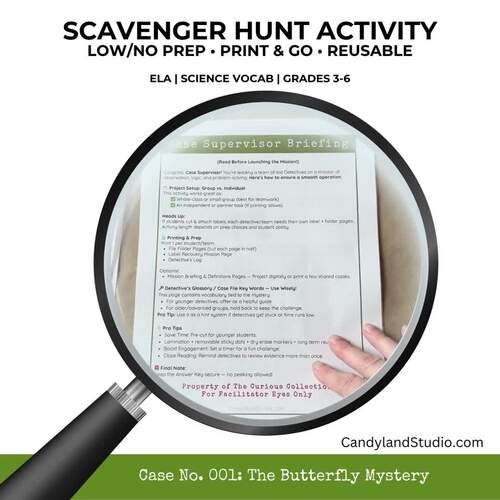 Butterfly Life Cycle Scavenger Hunt, Science & Reading Mystery Activity ELA