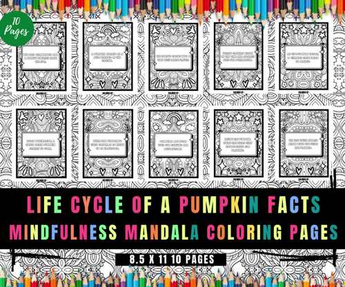 Life Cycle Of A Pumpkin Facts, Printable Word Wall and Door Decorations ...