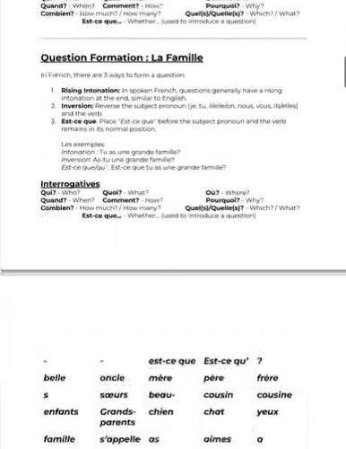 French Family Question Formation/Hands-on Independent or Centers Activity