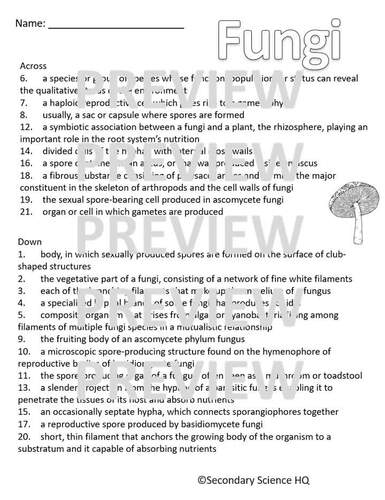 Fungi Vocabulary Puzzle | Advanced Biology by Secondary Science HQ
