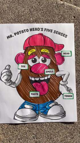 Mr. Potato Head Five Senses, Worksheet, Editable, Draw, Color, Cut ...