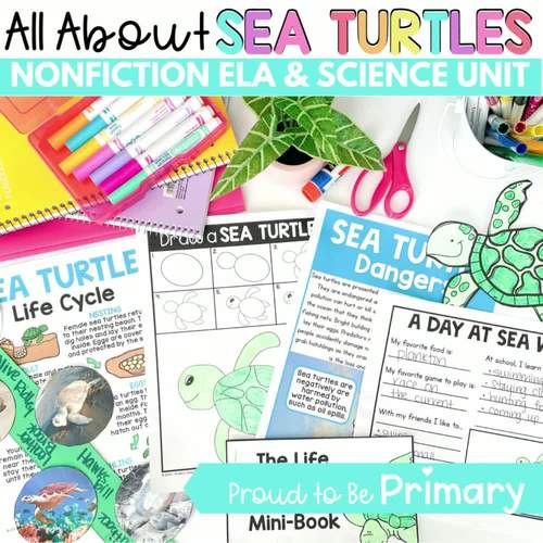 Sea Turtle Reptile Science Unit - Life Cycle Craft & Ocean Animal ...