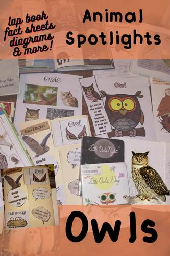 Owls - Animal Spotlights - Owl Unit Study - Homeschool science, Fall ...