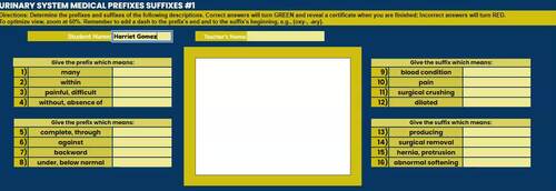 Urinary System Medical Terminology Award-Themed by Abaco Education Zone