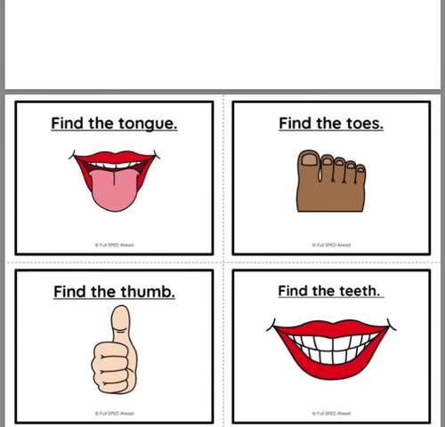 Parts of the Body and Identify Body Parts Task Cards for Special Education