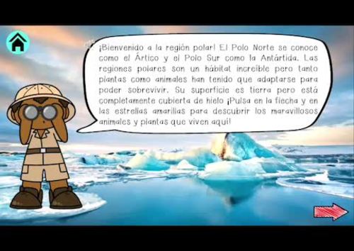 Animales polares | Polar and Arctic Animals Activities in Spanish by Ms ...