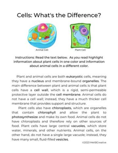 Cells Life Science Worksheet Packet for Middle School Science Class ...