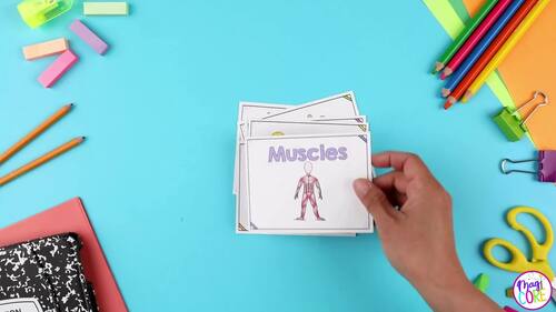 Human Body Systems & Organs Activities Worksheets 1st 2nd Grade Science ...