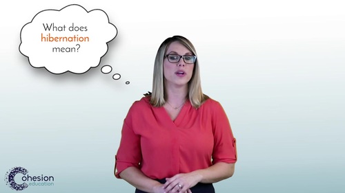 Ask & Answer Questions to Understand Informational Text by Cohesion ...