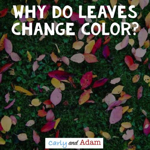 Autumn Leaves Fall STEM Activity by Carly and Adam STEM | TpT