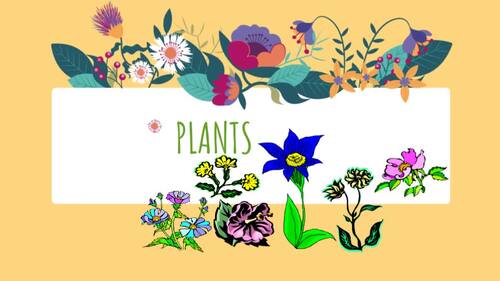 All about Plants for kids by Enjoy Science today | TPT