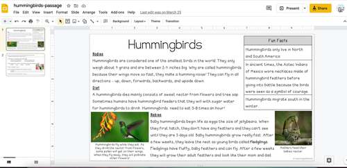 Hummingbirds Nonfiction Text by Learning with Lexie | TpT