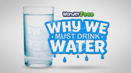 "Why We Must Drink Water" Video by Wonder Media | TPT