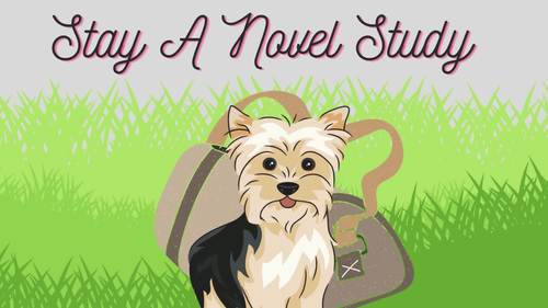 Stay A Novel Study By Bobbie Pyron by Lessons Your Way | TPT
