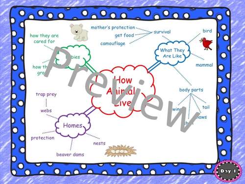 HMH Into Reading POWERPOINT Lesson Module 3, Week 1 First (1st) Grade