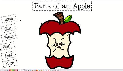 Label an APPLE Interactive Anchor Chart - PAPERLESS by Lisa's Classroom
