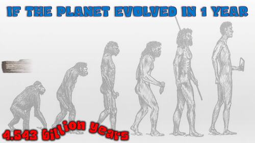 The Stone Age by Animated History | TPT