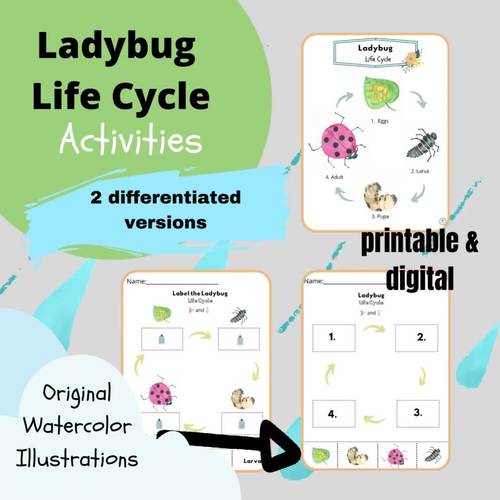 Ladybug Life Cycle Activities [DIFFERENTIATED]*printable & digital*