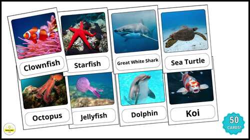 Fish & Sea Ocean Animals Flashcards, ESL Vocabulary Photo Picture Cards