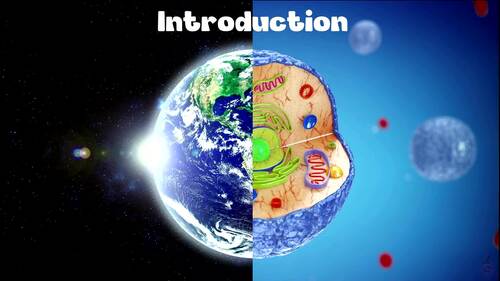 MP Biology | Full Year Biology Curriculum Bundle (NGSS-Aligned) | TPT