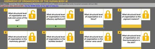 Hierarchy of Organization Lock Activity | Levels of Organization