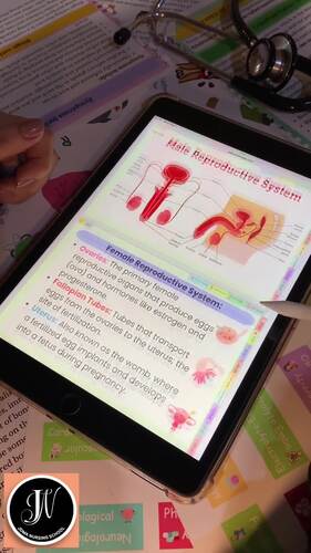 Reproductive System Flashcards Fully Hyperlinked | Human Anatomy | Nursing