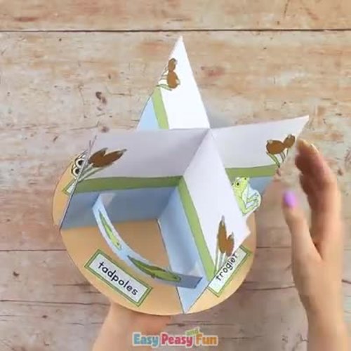 Frog Life Cycle Craft | 3D Diorama Craft Activity by Easy Peasy and Fun