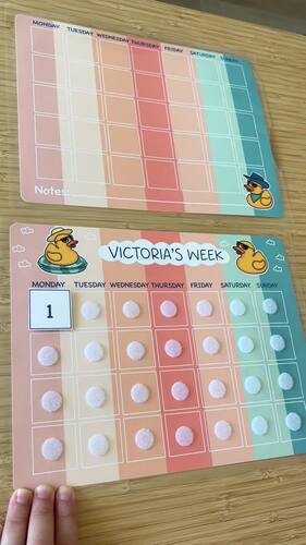 Daily schedule template editable, Chore chart, Visual schedule autism ...