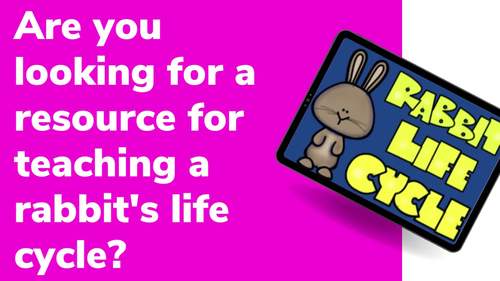 Rabbit Lifecycle Digital BOOM CARDS Distance Learning by Fiddleheads