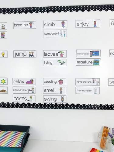 EL Education Kindergarten | Word Wall Cards FOR THE YEAR by Cowie's ...
