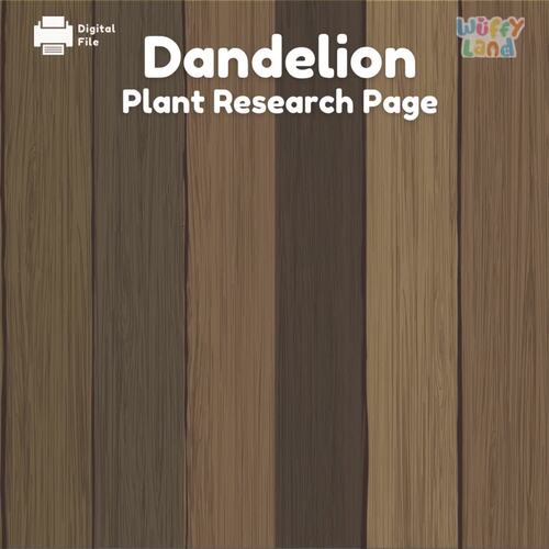 Dandelion Life Cycle Activity | Spring Flower Plant Research ...