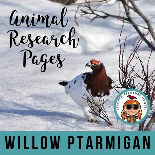 Willow Ptarmigan Bird Animal Research Page Arctic Animal Reports print ...