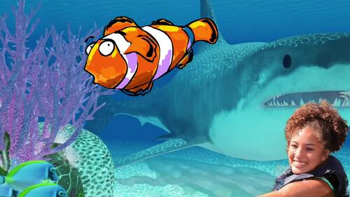 Sharks Research - Project Based Learning Science - Sharks STEM PBL Unit