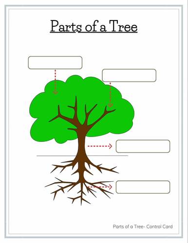 Montessori Science Puzzle: Parts of a Tree for PreK-G3 by VMI ...