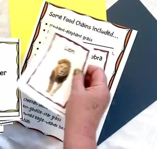 African Savanna Food Chains | Matching Game Cards for Producers & Consumers