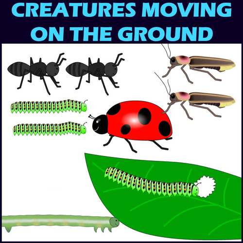 Insect GIFs Clipart - Animated Bugs Clip Art - Set 3 | TpT