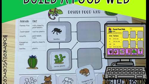 Build, Make a Food Web Activity | Energy Flow Practice Puzzle Digital ...