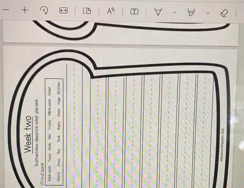 Bread Germ Experiment by Homeschooling Autism | TPT