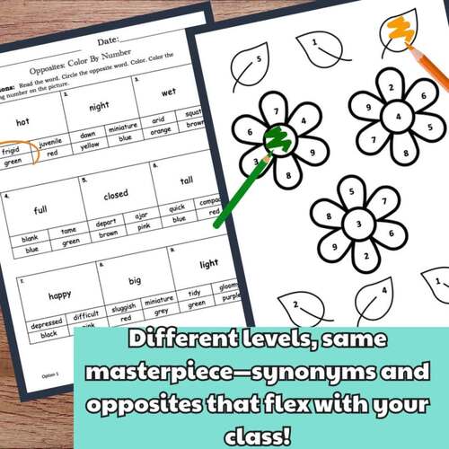 OPPOSITES AND SYNONYMS WORKSHEETS COLOR BY NUMBER SPECIAL EDUCATION ...