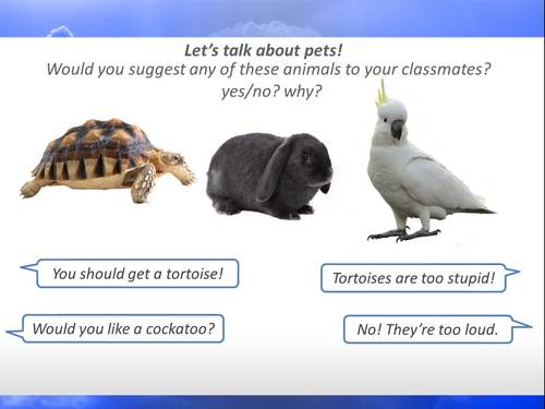 Comparing Pets : Complete Communicative ESL Lesson for Low (A2) Levels