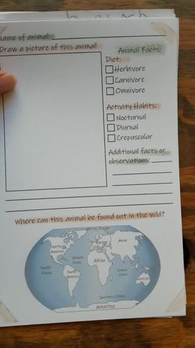 Zoo Field Trip Activity Booklet Zoo Animal Study by Sunshine and Clover 123