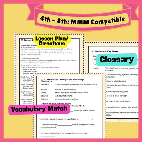 MMM Greater Glider: Engaging Activities & Printable Worksheets | TPT